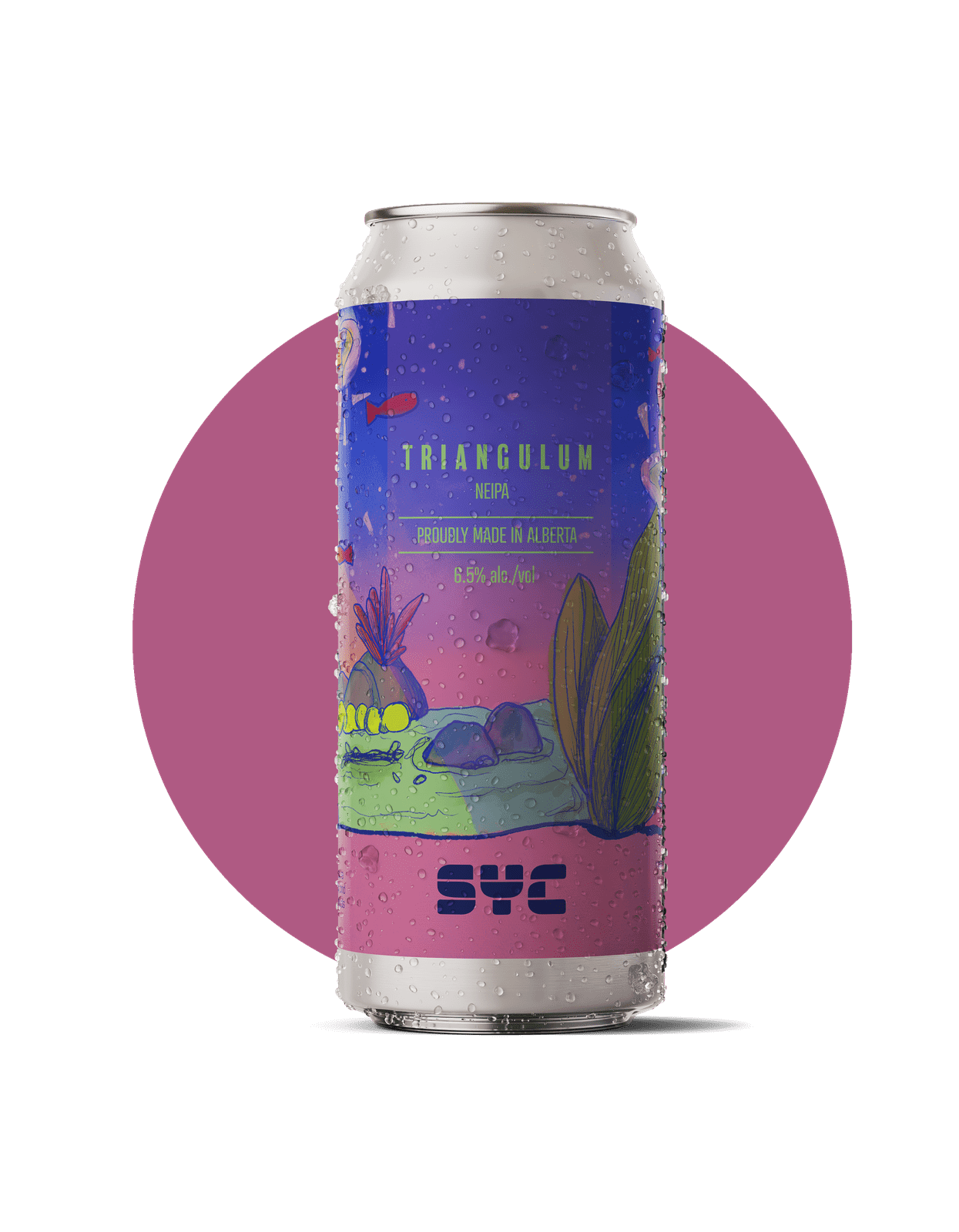 Collections – SYC Brewing